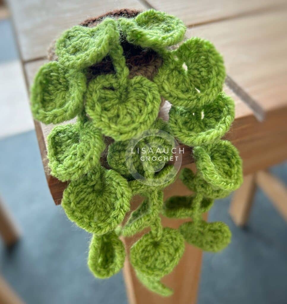 3 Mini Crochet Succulent Patterns FREE! Crochet Hanging Vines Hearts ...